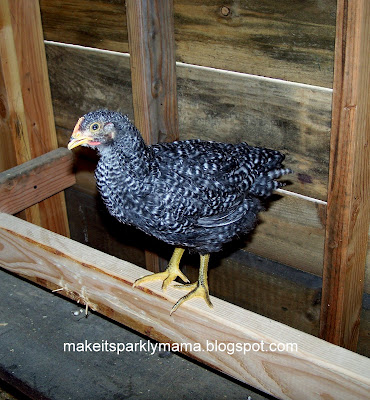 Make It Sparkly Mama!