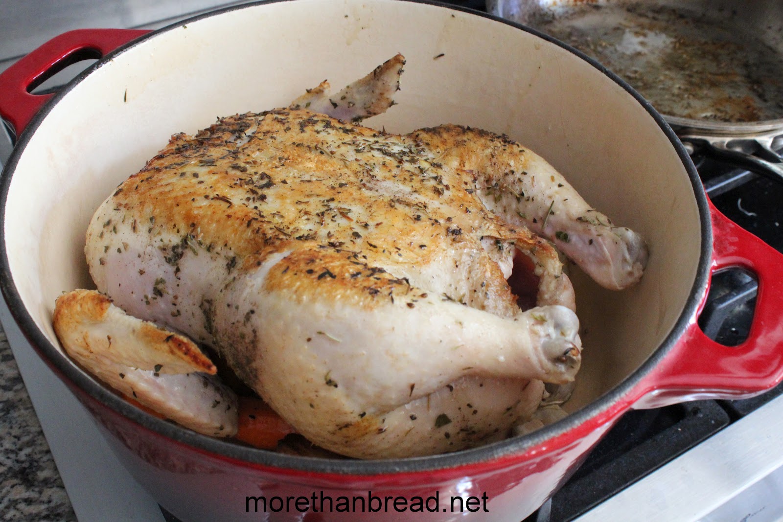 More Than Bread: Chicken in a Pot with Garlic and Preserved Lemon 惹味雞煲