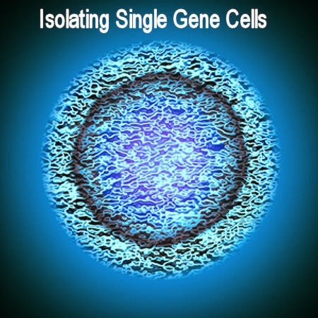 Medical Laboratory and Biomedical Science: Isolating Single Gene Cells