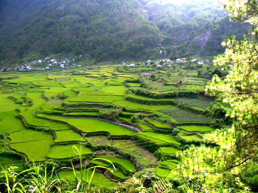 Simply A-ma-SHeNG : Top 10 Dream-Phil Destinations