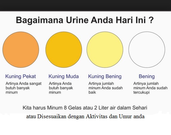 Terpopuler 21+ Penyebab Air Kencing Berwarna Kuning Terang
