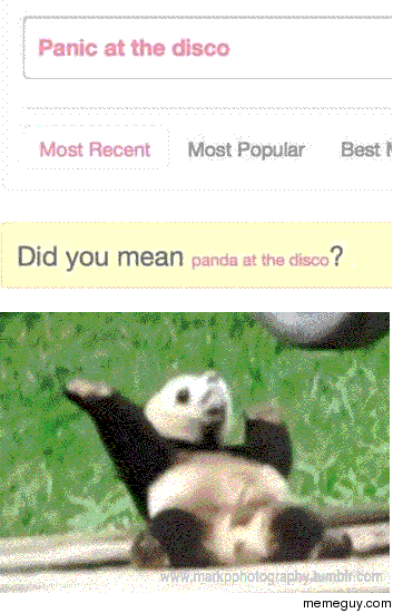 Animated Meme: Panda at the Disco