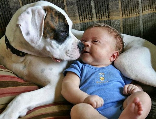 Clínica Veterinaria Galileo : Y que le gusten los bebes...(II)