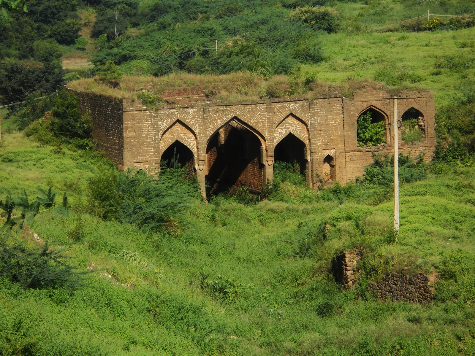 evenfewergoats: Bidar