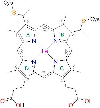 Mundo da Bioquímica (blog sobre bioquímica): Respiração celular ...