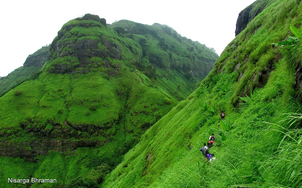 Nisarga Bhraman: One Day Trek to Peb Fort on 5th July 2015