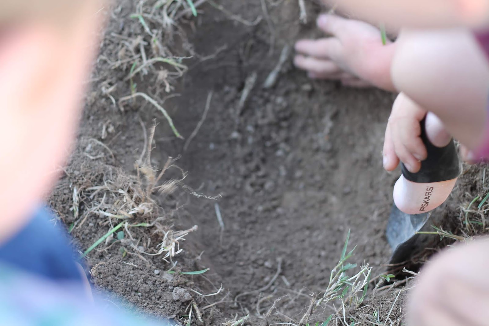 A blog for my mom: 42/52: A Hole is to Dig, and Crafts are to Craft