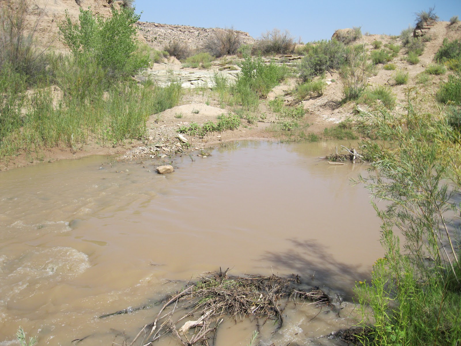Four Corners Hikes-Canyons of the Ancients: Lower Yellow Jacket Canyon ...