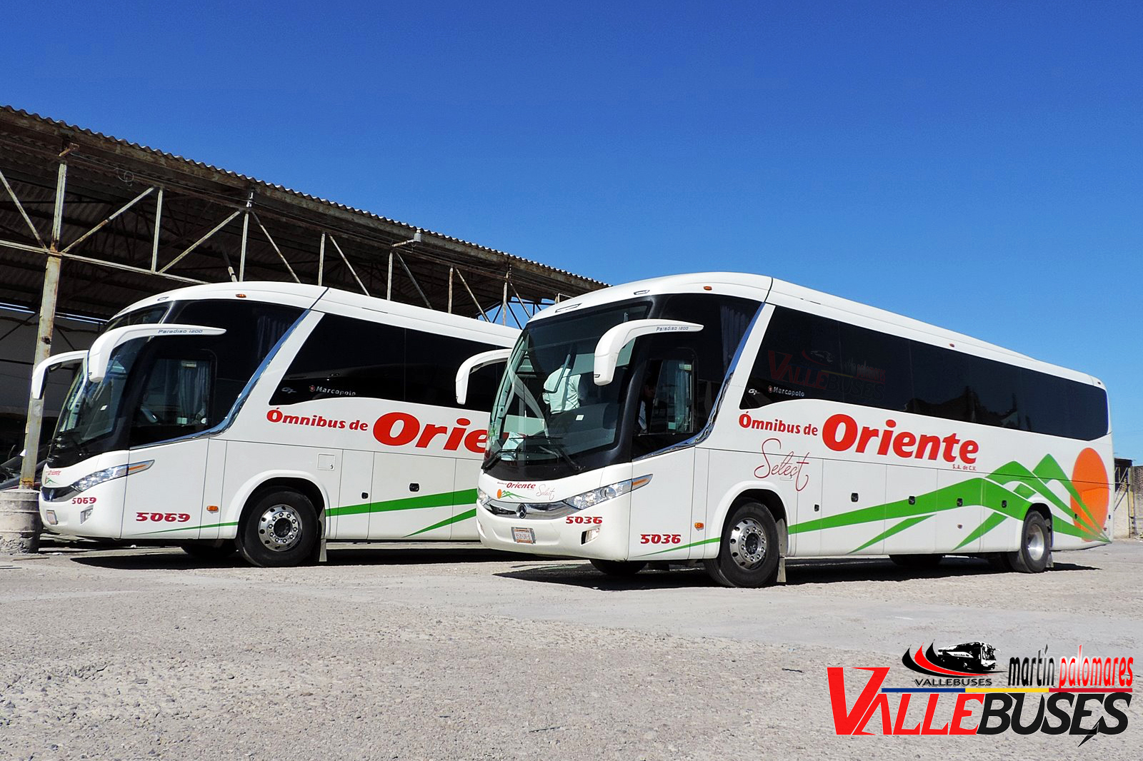 Vallebuses: 01869 - Oriente Select