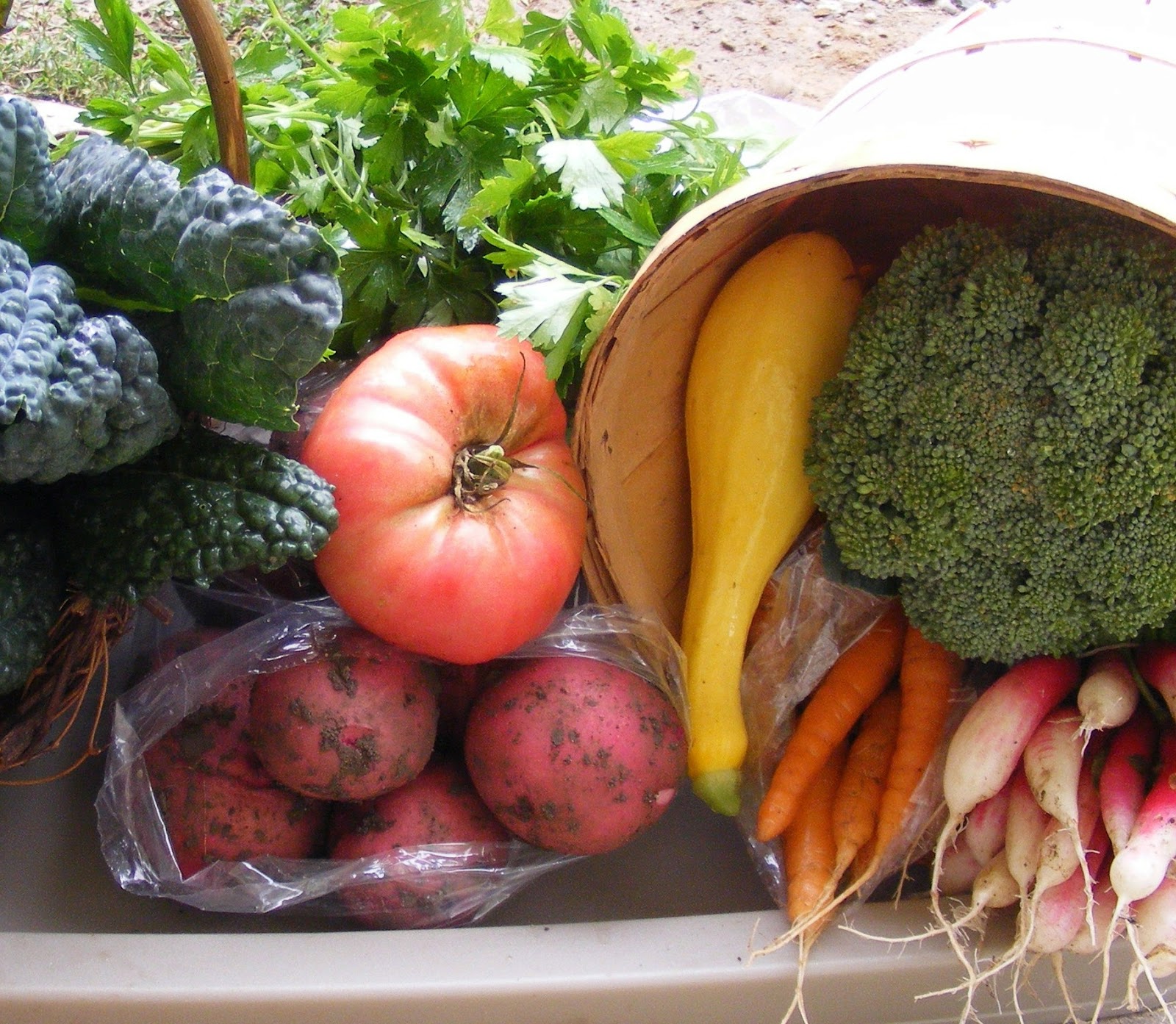 Experience Elgin: Bee Loved Gardens - Flavourful, Nutrient Dense Vegetables