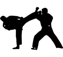 Martial Arts Chandigarh: Free sparring for Martial Artists