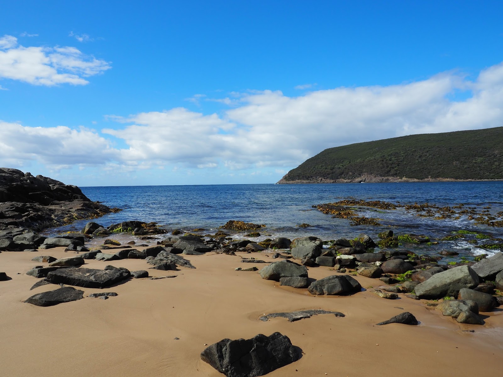 Crescent Bay | Hiking South East Tasmania