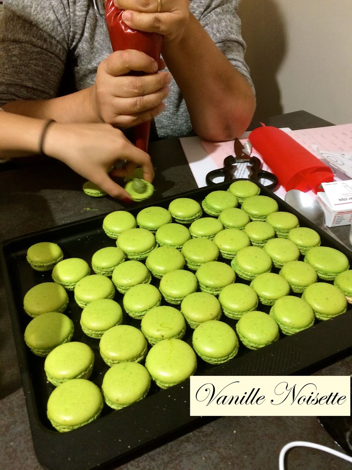 Vanille Noisette : MACARONS PISTACHE ET SES GANACHES