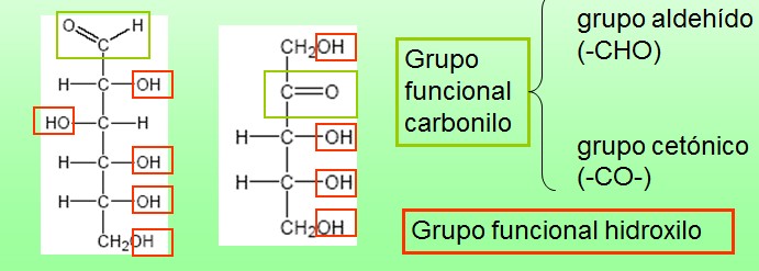 BIOQUIMICA - 2DO AÑO OFICIAL. : CARBOHIDRATOS ==> SACARIDOS ==> GLUCIDOS