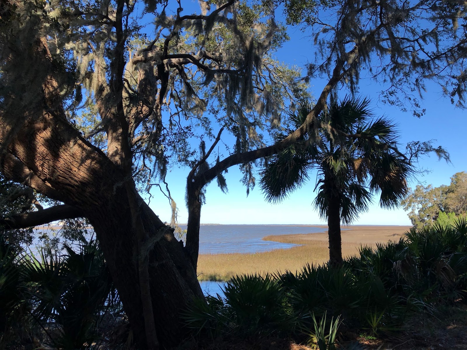 Romancing the Home: The Greyfield Inn on Cumberland Island
