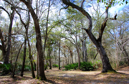 Desolation Florida: Worthington Springs
