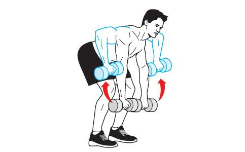 Back Muscle Final Step: ท่าฝึกต่างๆสำหรับ Middle Trapezius และ Lower ...