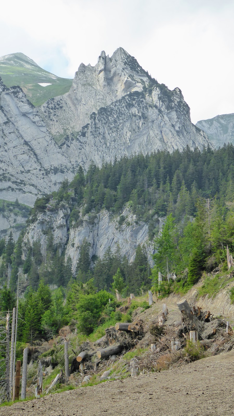 Alpstein-Wanderung von der Stauberen hinüber nach Wildhaus – Wandern ...