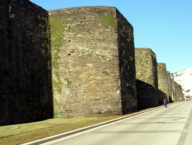 LUGO | Colibrí Excursiones