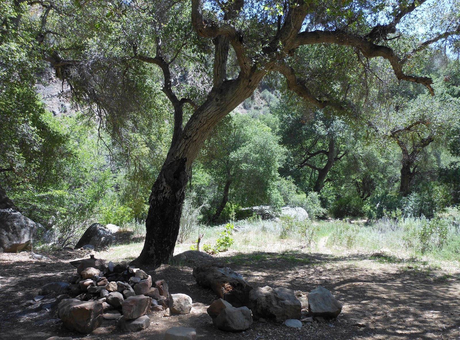 1000 Hikes in 1000 Days: Days 523 & 524: Camping on the Matilija Trail