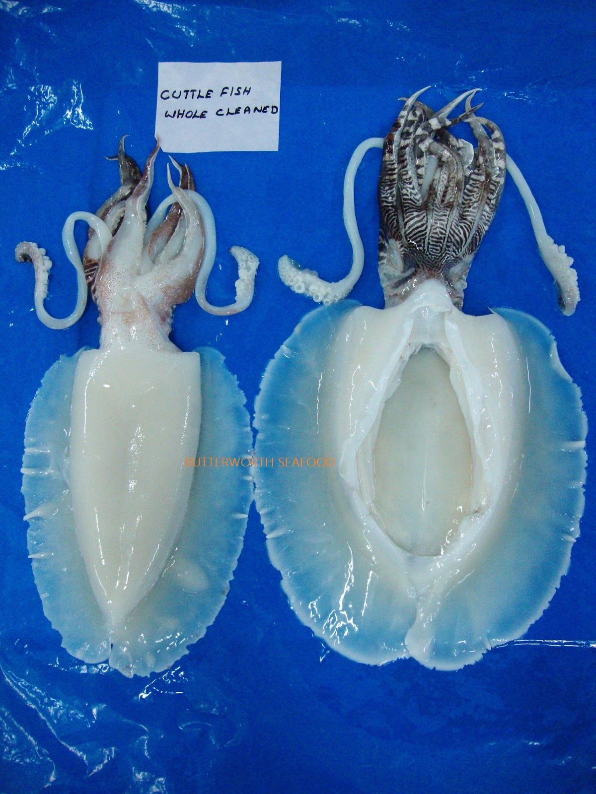 Butterworth Seafoods: VARIOUS SEAFOOD PRODUCTS FROM INDIA