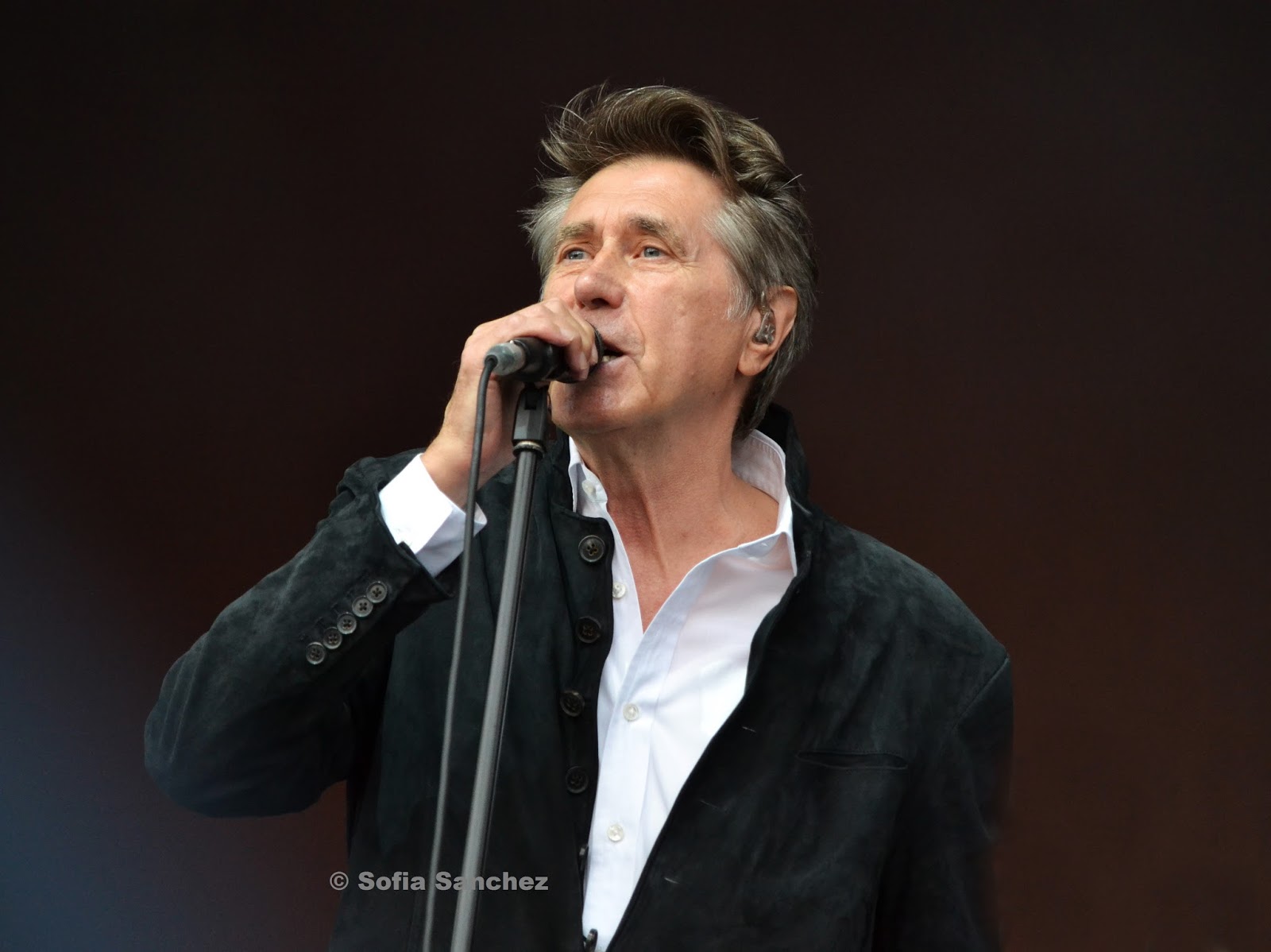 News from Europe and Latin America: Bryan Ferry had a fantastic concert ...