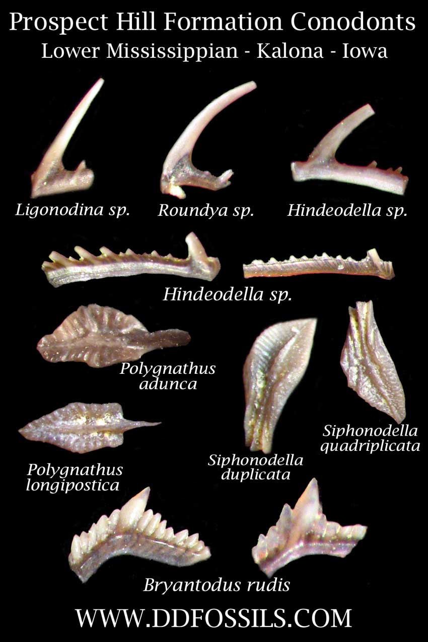 Partial Ellipsis of the Sun: A Blog for Scientists who like Words and ...