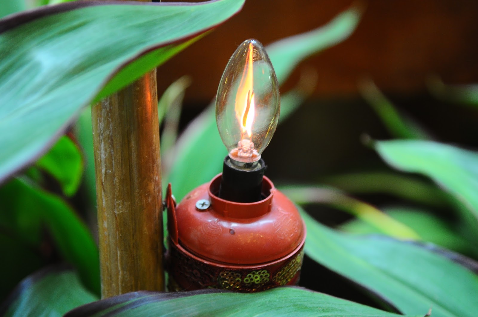 Ide 48 Pelita Hari Raya Kampung