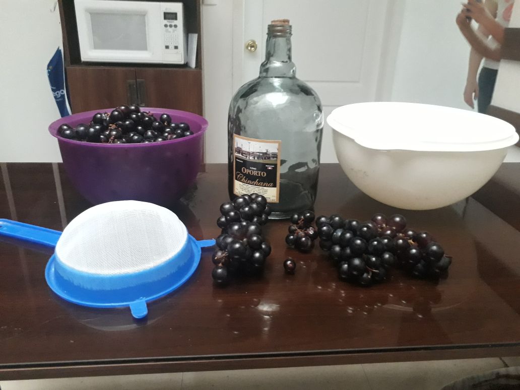 Elaboracion de vino casero : 2018