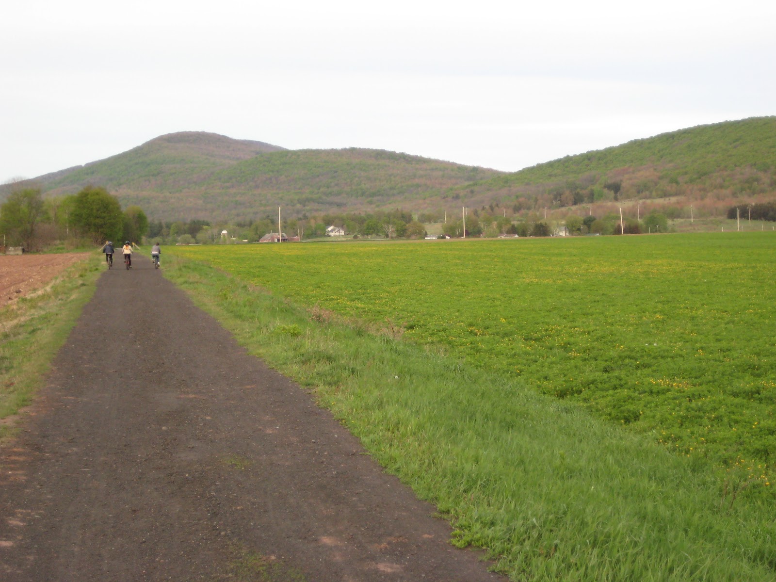 The Great Western Catskills - rockin' the mountain scene in upstate New ...