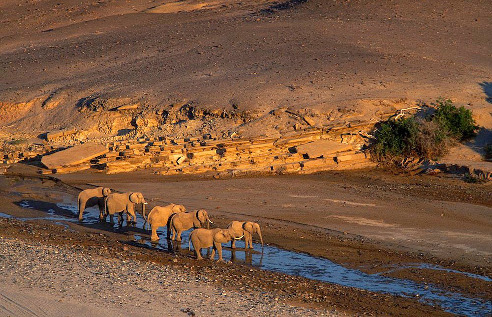 Namibia Reservations: Explore Kaokoland - Namibia
