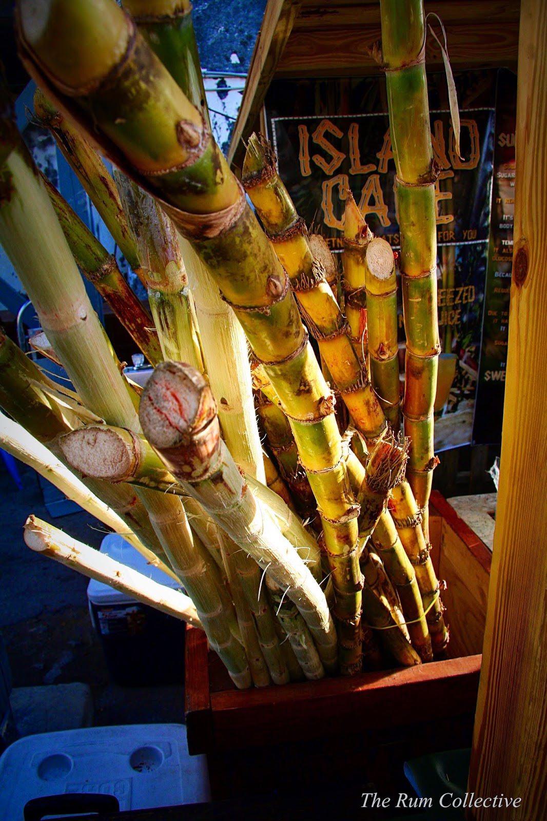 The Rum Collective: Festival Rum Bahamas 2015: The Food