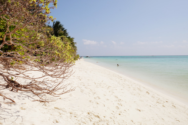 6 REASONS HOW DO I FALL IN LOVE WITH THODDOO ISLAND, MALDIVES ...