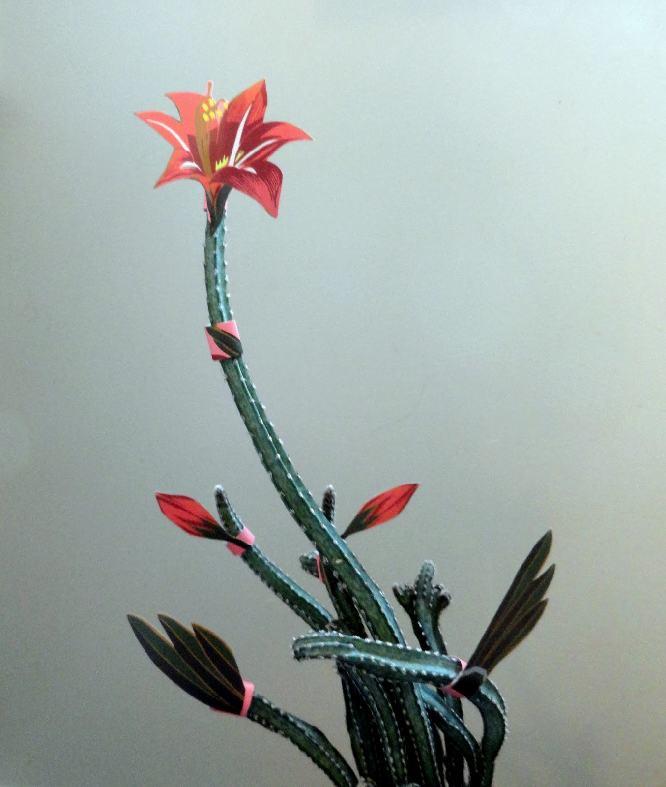 danger garden: My new (strange) Cactus hybrid...