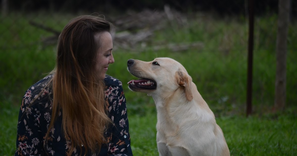 Huisvrou 101: My diere kinders