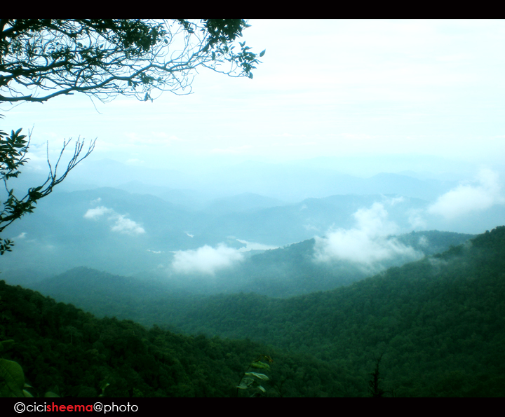 si POHON rimbun: Xpdc bersantai ke Gunung Nuang. Janda Baik – Hulu Langat