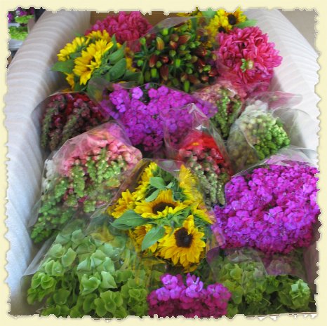 Blue Mason Jar Studio: {Organic Wednesday} Eco-friendly Flowers