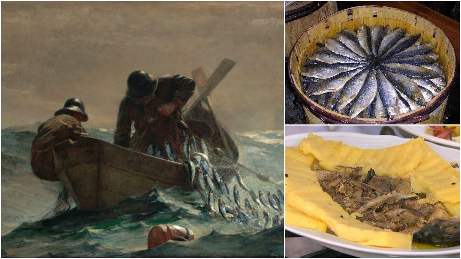 Tra Fiume e Trieste: Renga o scopetòn? Sia la aringa (renga) che la ...