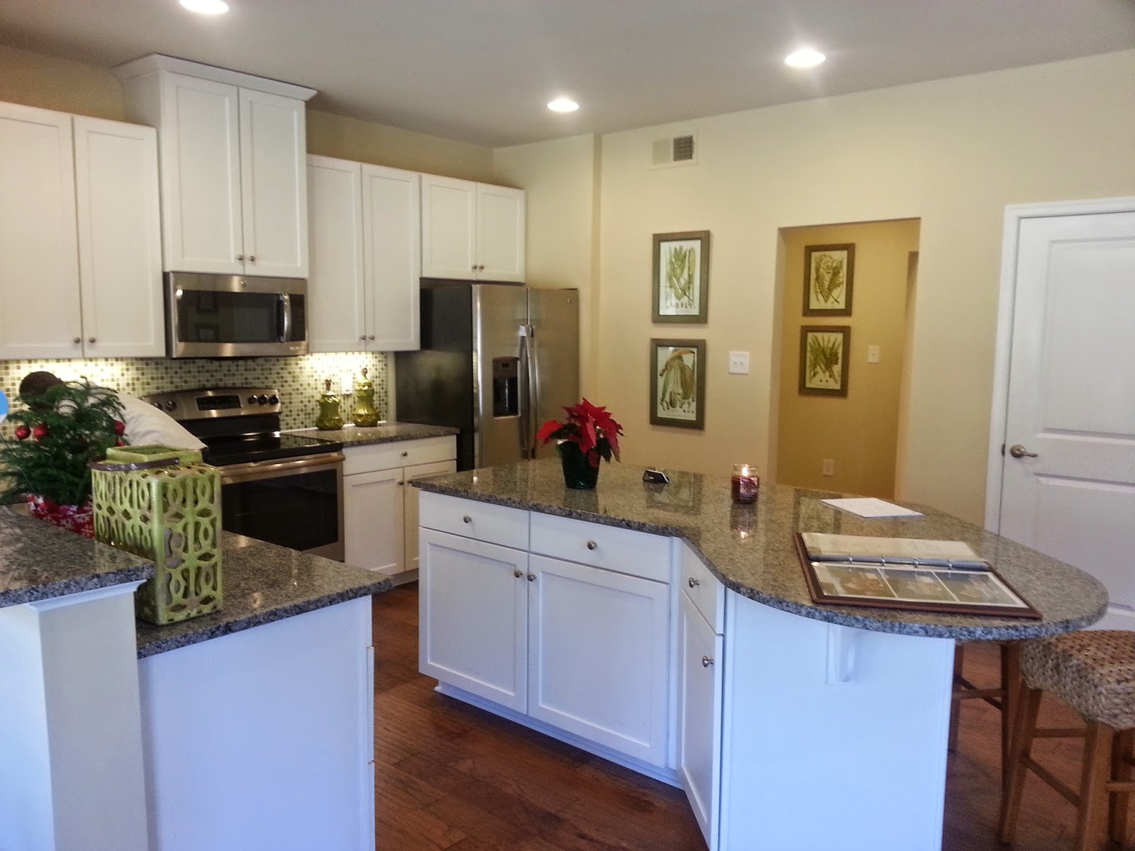 Building Our New Dream Ryan Home - Milan in Richmond, Virginia ...