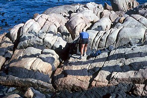 PCSA Geology Updates: Igneous Rocks