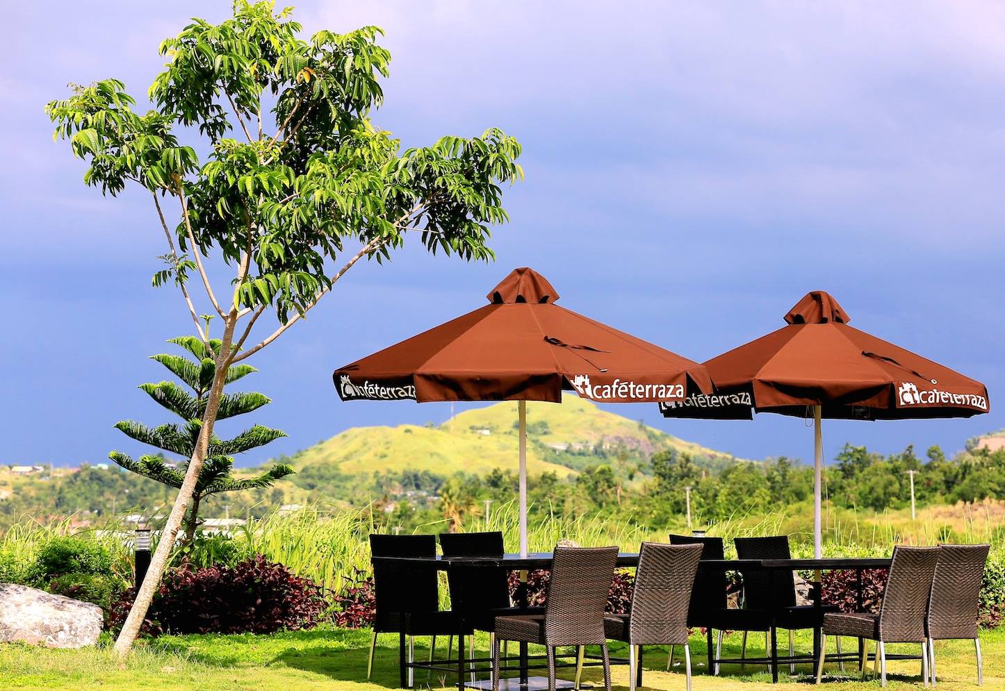 cOyxXx: Dining Above and Beyond at Café Terraza