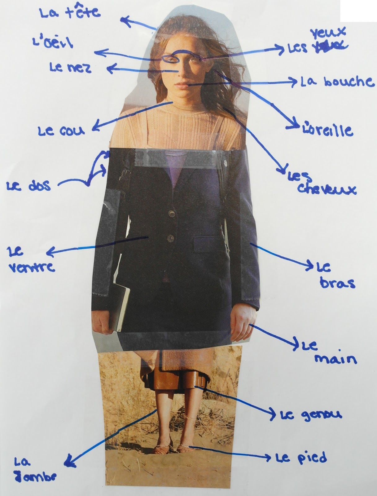 Les parties du corps