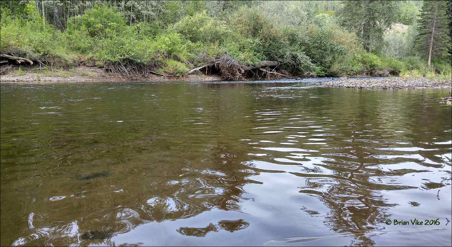 Northern Interior British Columbia: My Little Bulkley River Houston ...