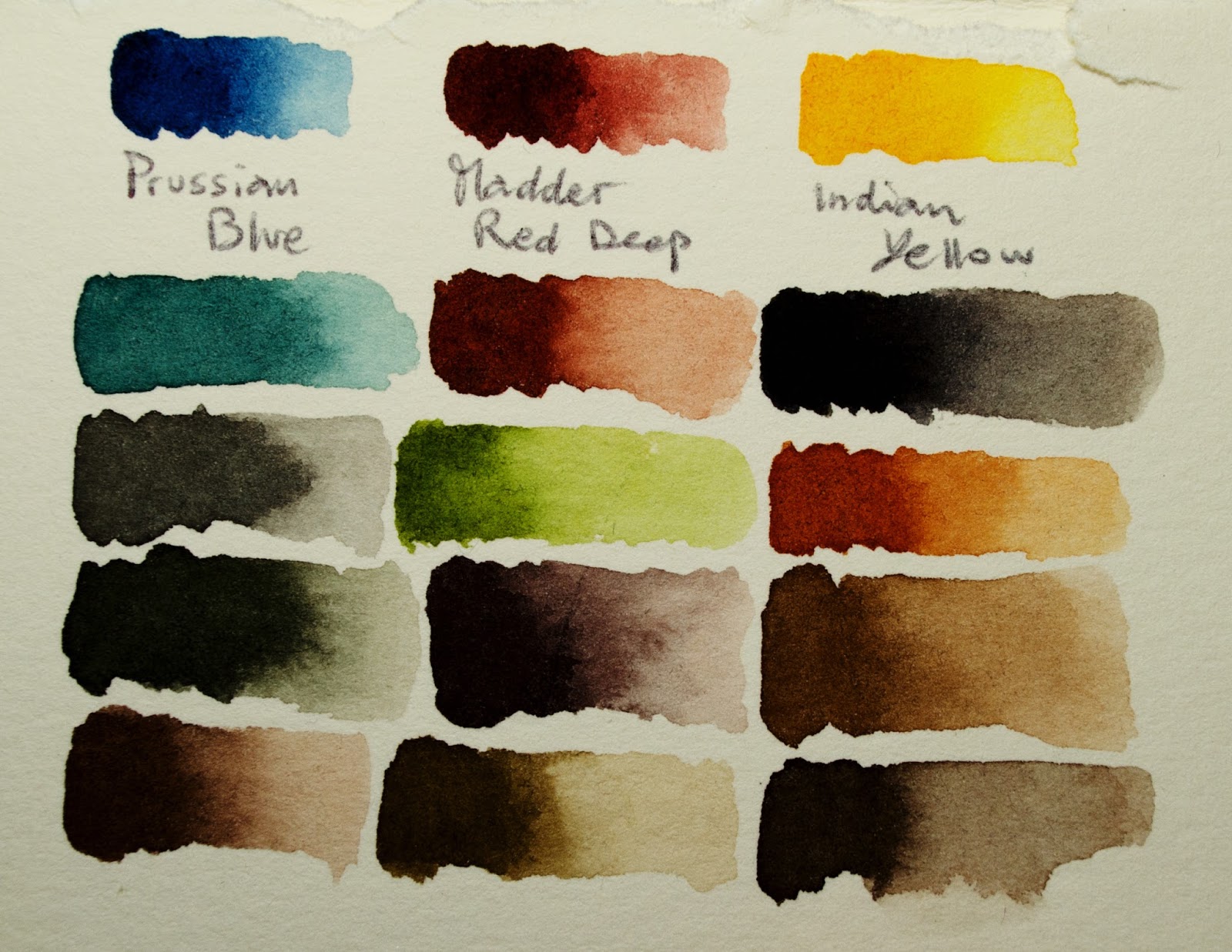 Matteo Grilli Wildlife Art: Handmade Watercolour Paints