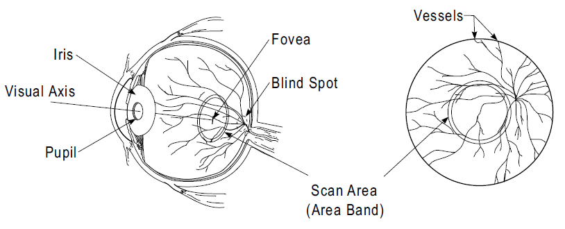 ScanMeIn: The King of Biometrics