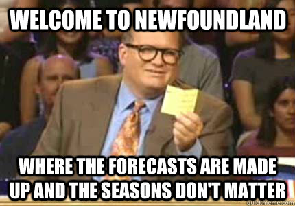 English 1080 Introductions: Newfoundland Meme