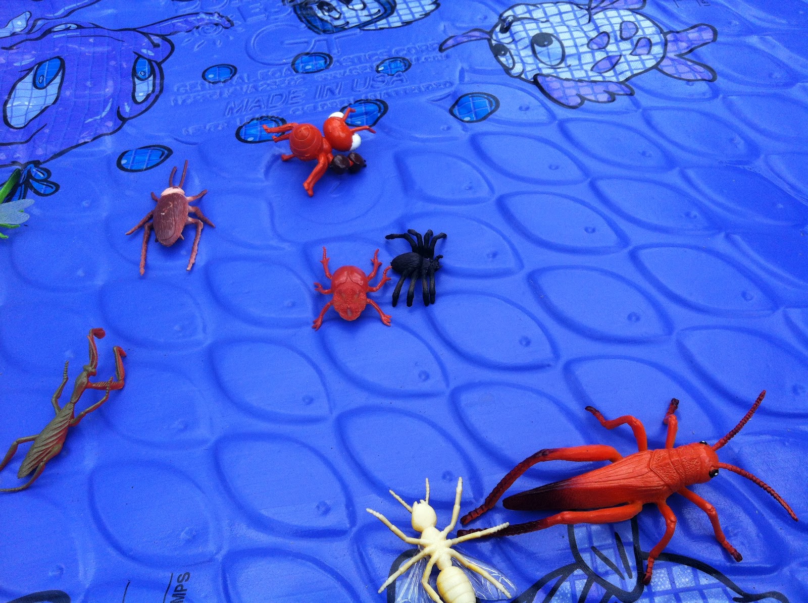 beginwithb: boy play: bugs in mud