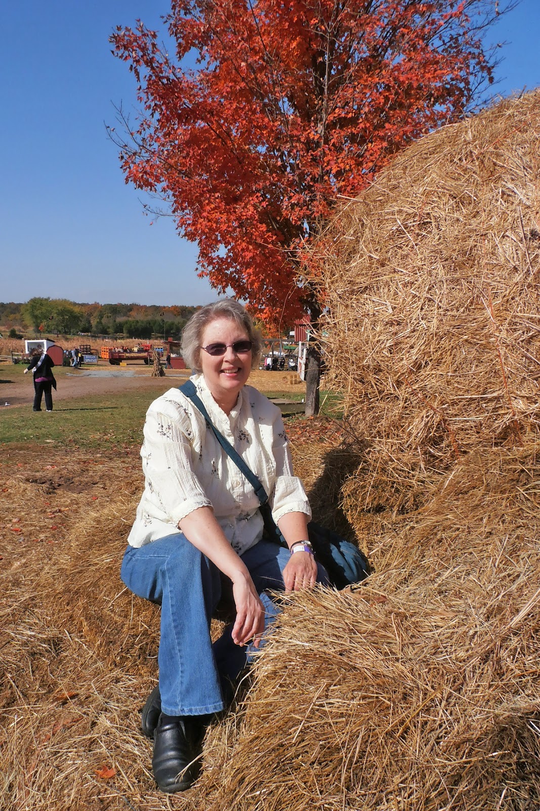 Picturesque Views: Cox Farms 2012