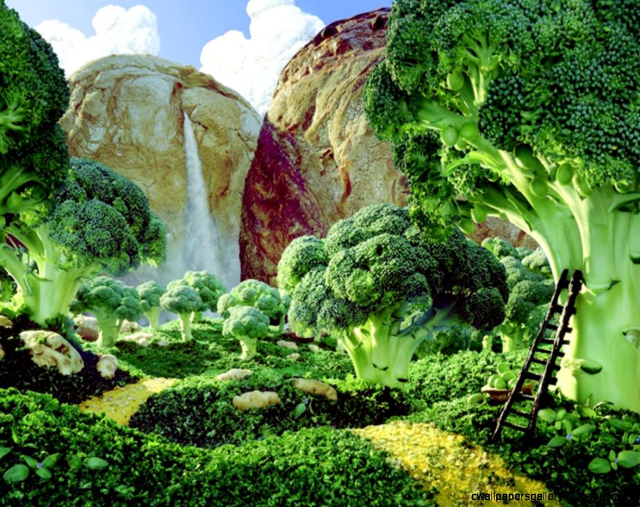 Vegetable Garden Wallpaper | Wallpapers Gallery