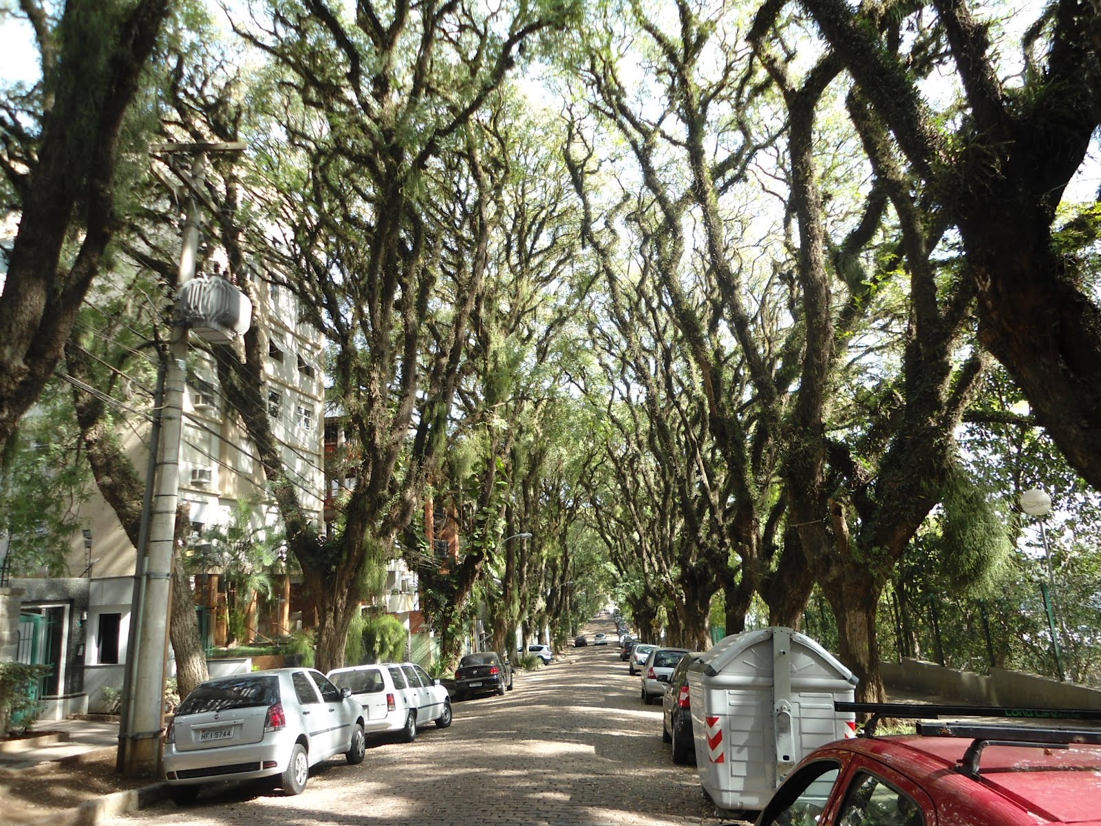 Blog da Christina Pedra: A "rua mais bonita do mundo"